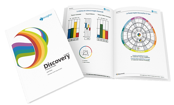Perfil Insights Discovery Inventa